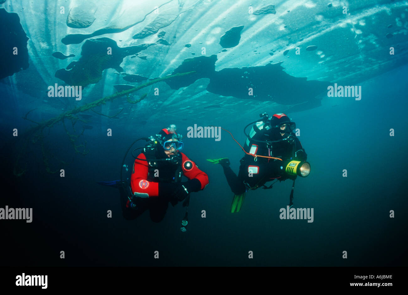 Icedivng hi-res stock photography and images - Alamy