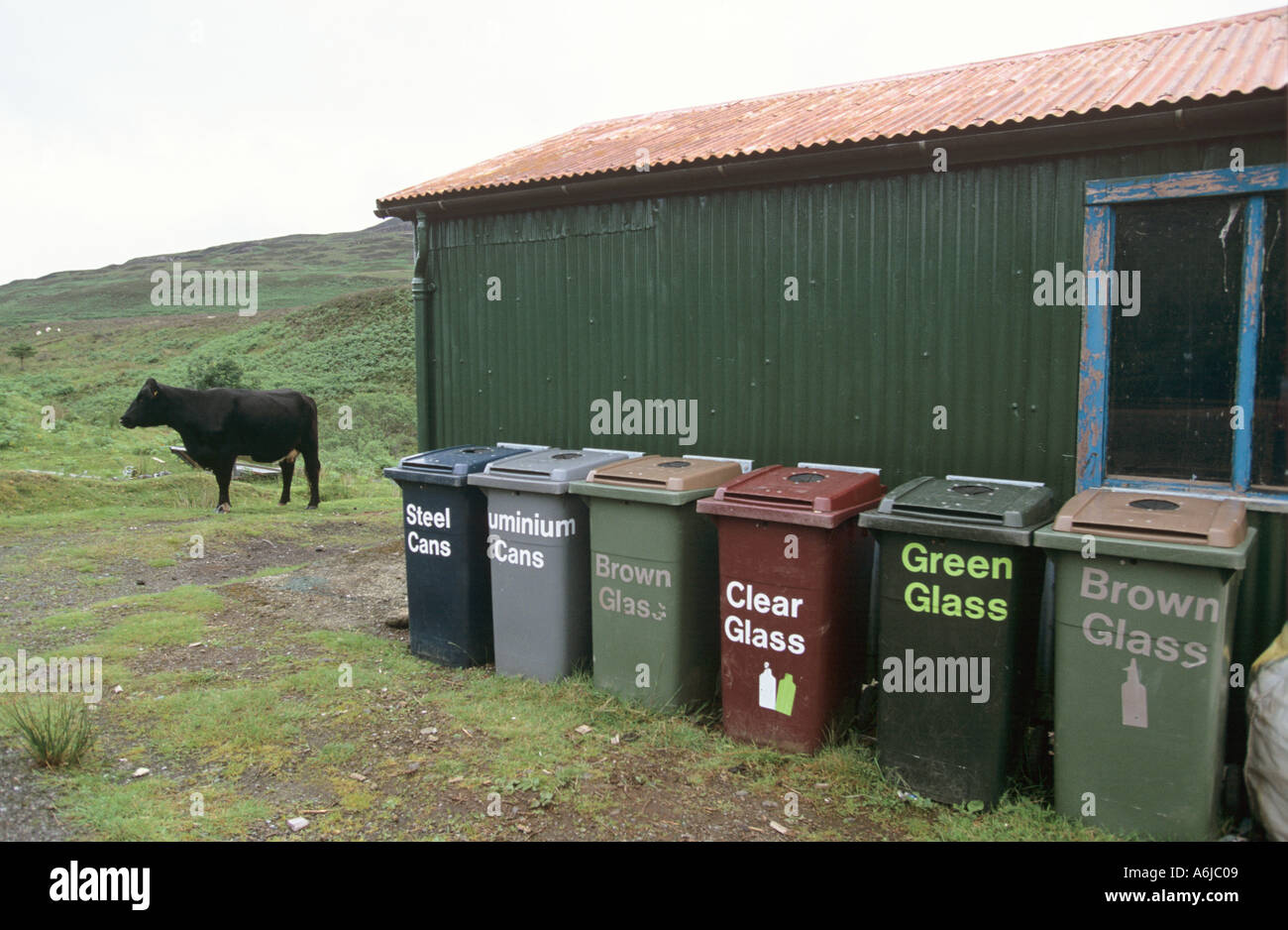 Recycling collection bins on Isle of Eigg Scotland and cow Stock Photo ...