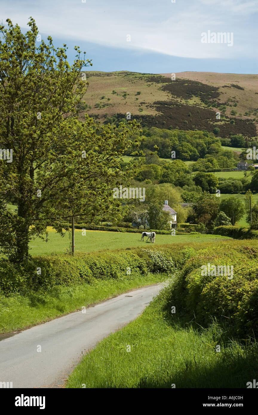 Rural landscape Powys Mid Wales GB Stock Photo - Alamy