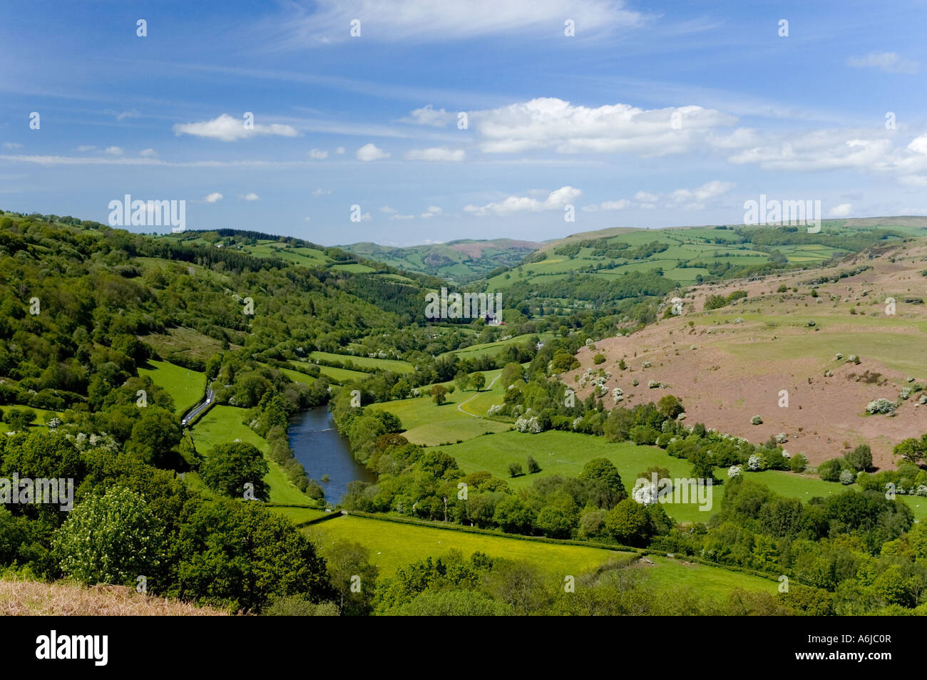 Rural landscape Powys Mid Wales GB Stock Photo - Alamy