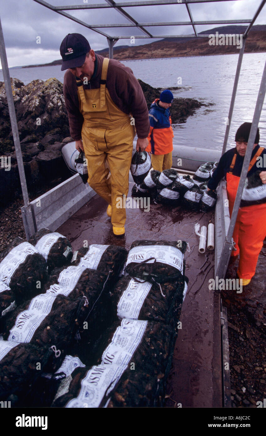 Live fish transport hi-res stock photography and images - Alamy