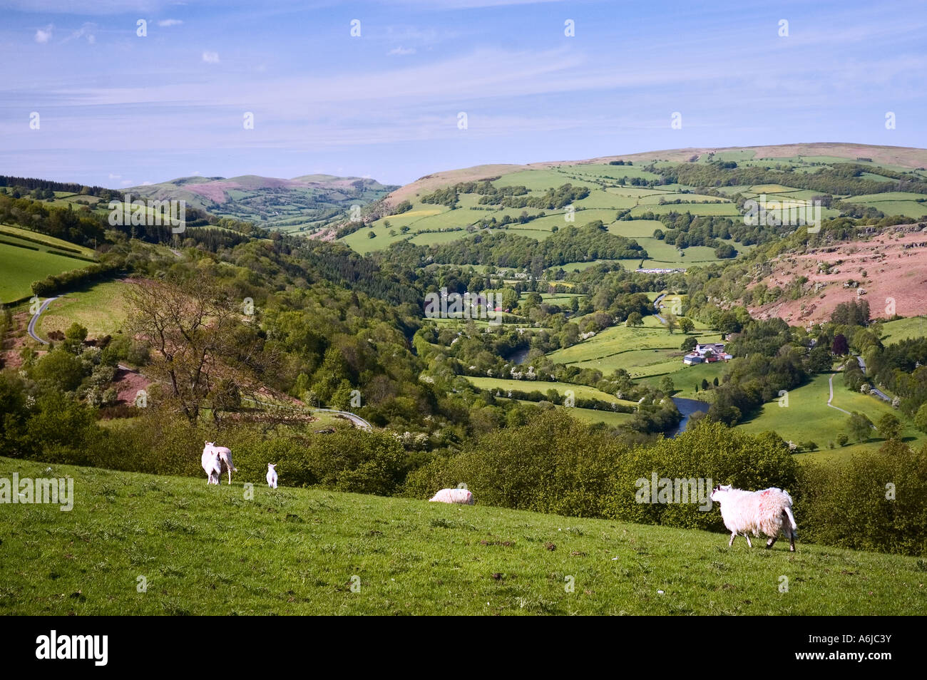 Wye Valley Powys Mid Wales UK Stock Photo - Alamy