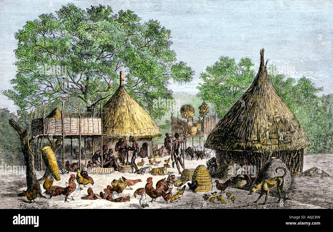 Daily life in an African village in the Congo Basin. Hand-colored ...