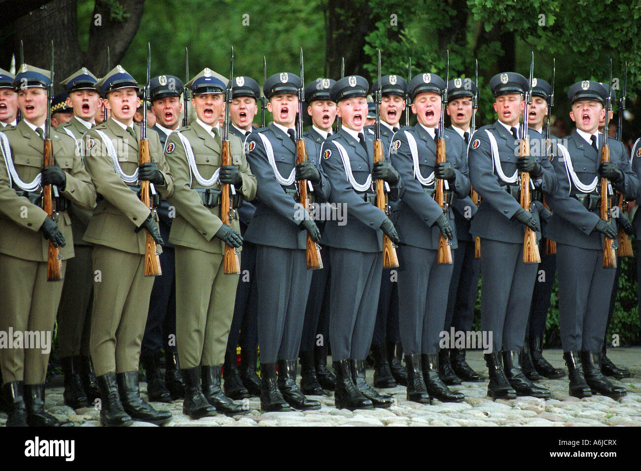 Polish Army Honour Guard Company during the 60th anniversary of the ...