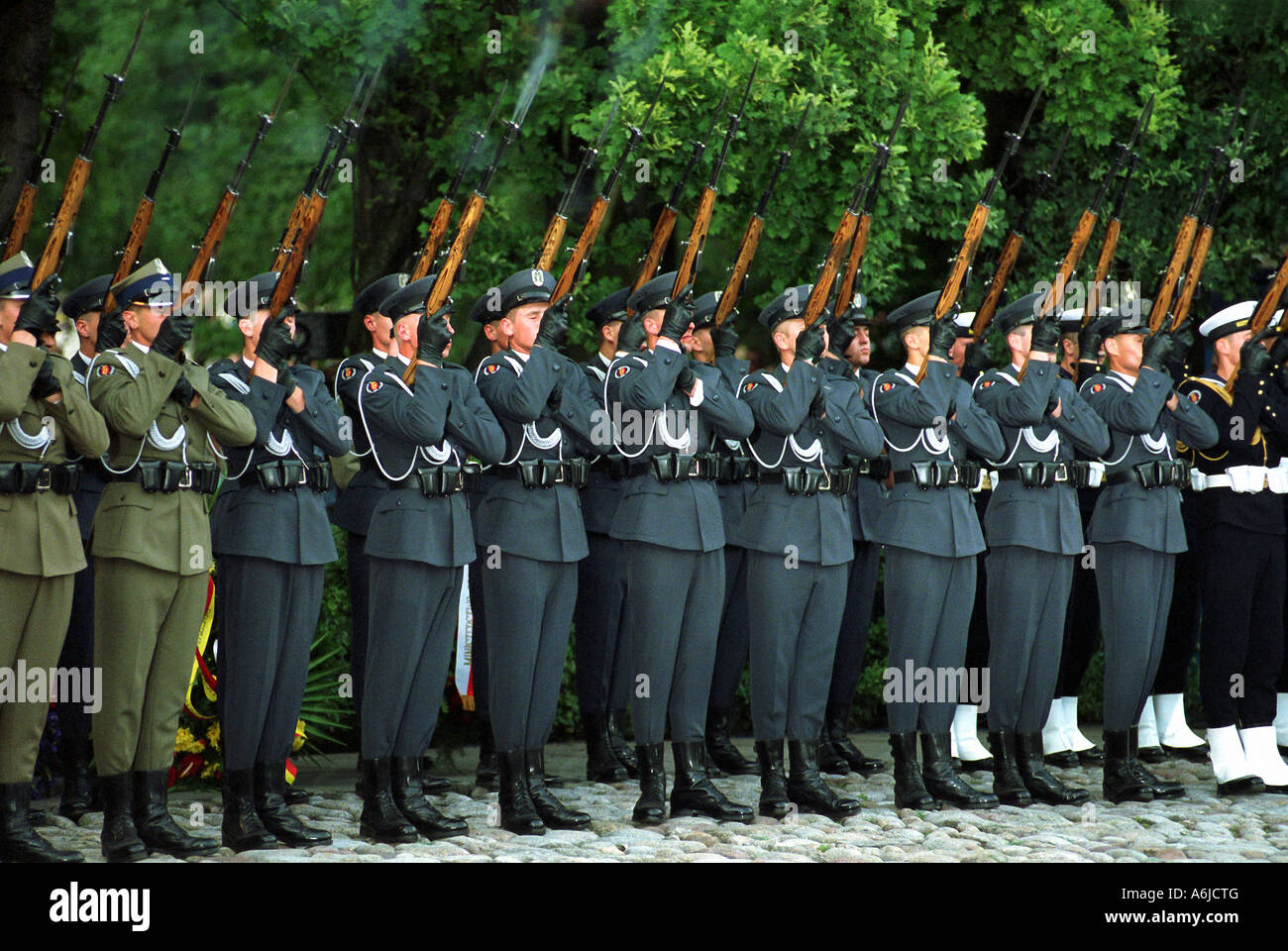 Polish Army Honour Guard Company during the 60th anniversary of the ...