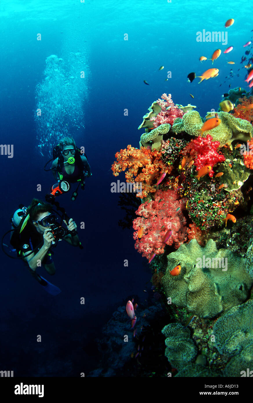 A PHOTOGRAPHER (MR) SNAPS A PHOTO OF A FIJIAN REEF SCENE. FIJI Stock ...