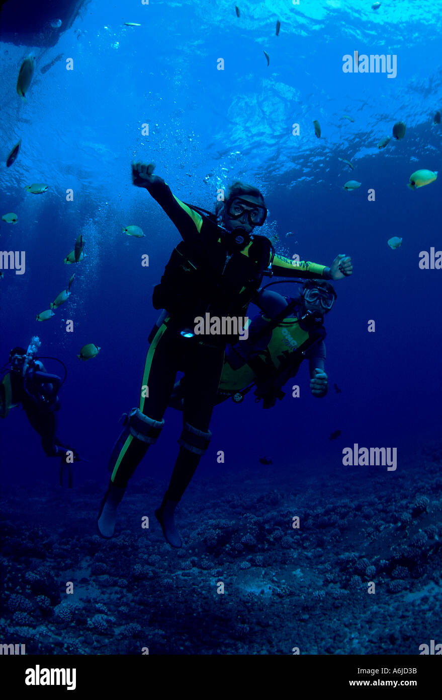 WHEELCHAIR DIVER UNDERWATER. HAWAII Stock Photo - Alamy