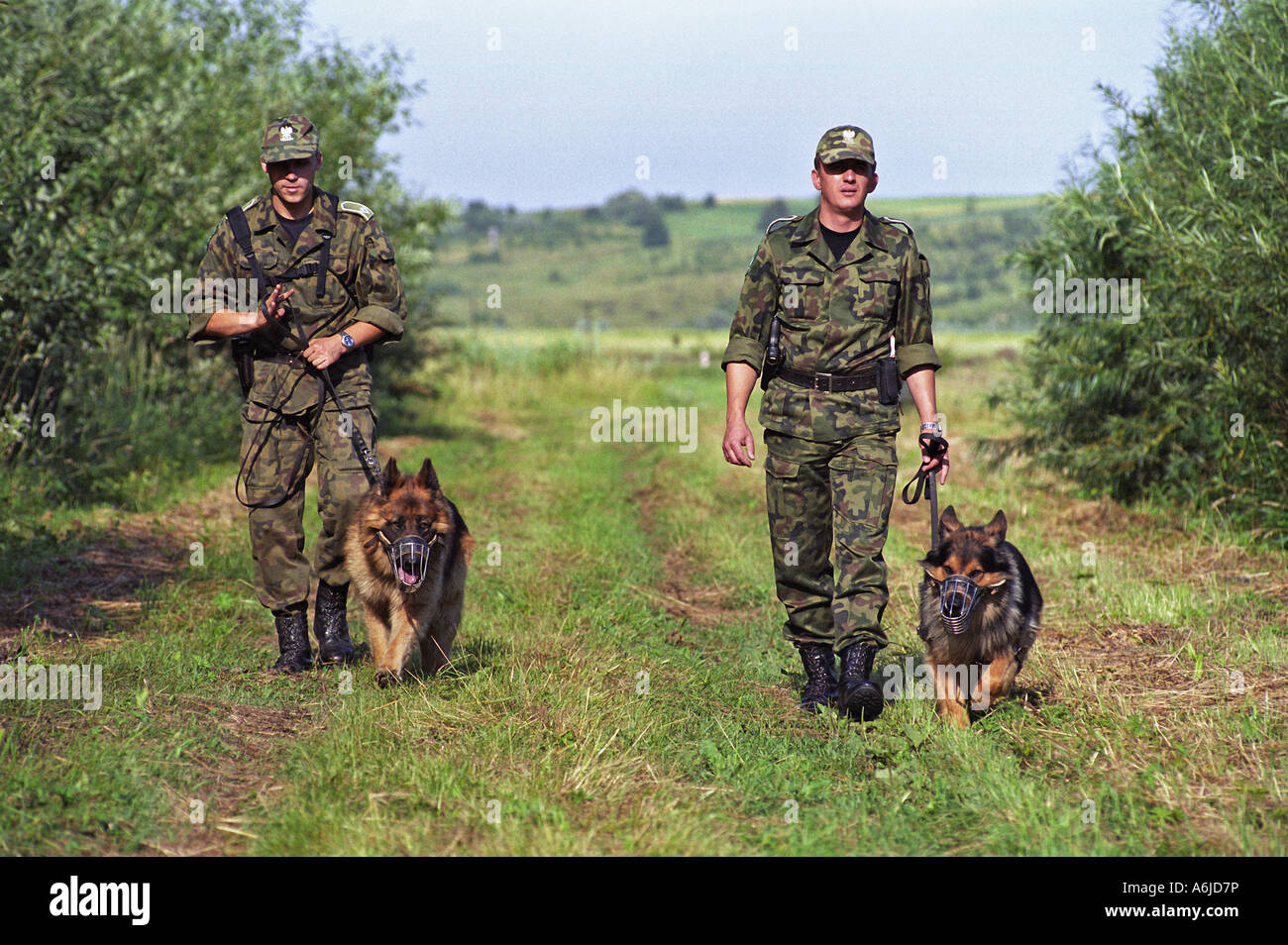 Polish border guard officers with dogs at the Polish-Ukrainian border ...