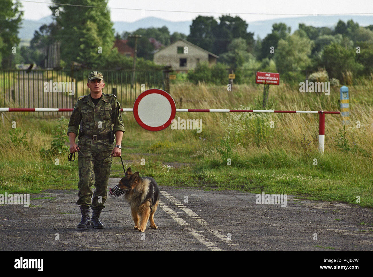 Polish border guard officer with a dog at the Polish-Ukrainian border ...