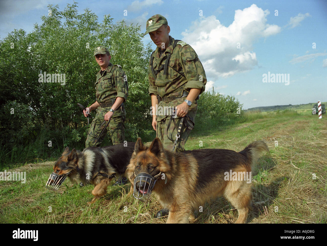 Polish border guard officers with dogs at the Polish-Ukrainian border ...
