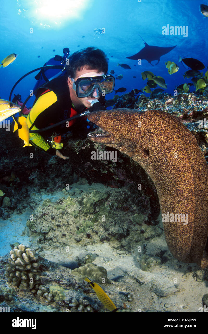 Margin release hi-res stock photography and images - Alamy