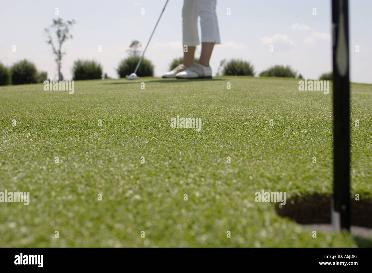 legs of a golf player at a golf course Stock Photo - Alamy