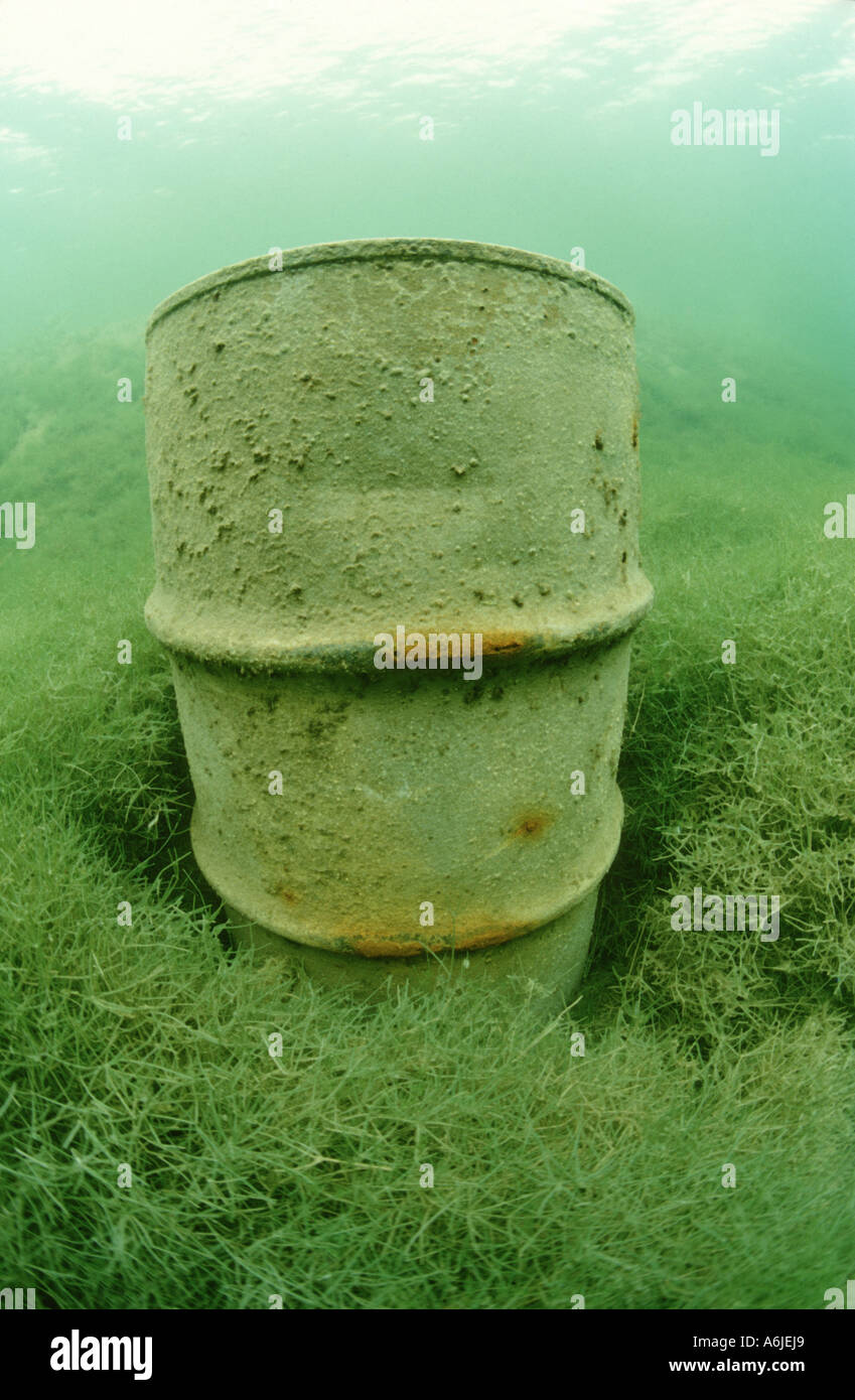 rusty barrel on the ground of a water, Germany, Brandenburg Stock Photo ...