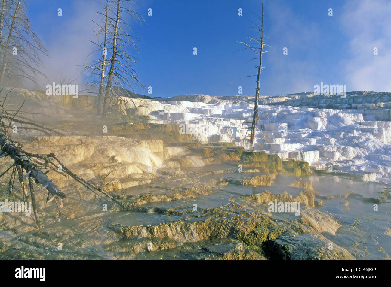 Mammoth Terraces at Mammoth Hot Springs at Yellowstone National Park ...