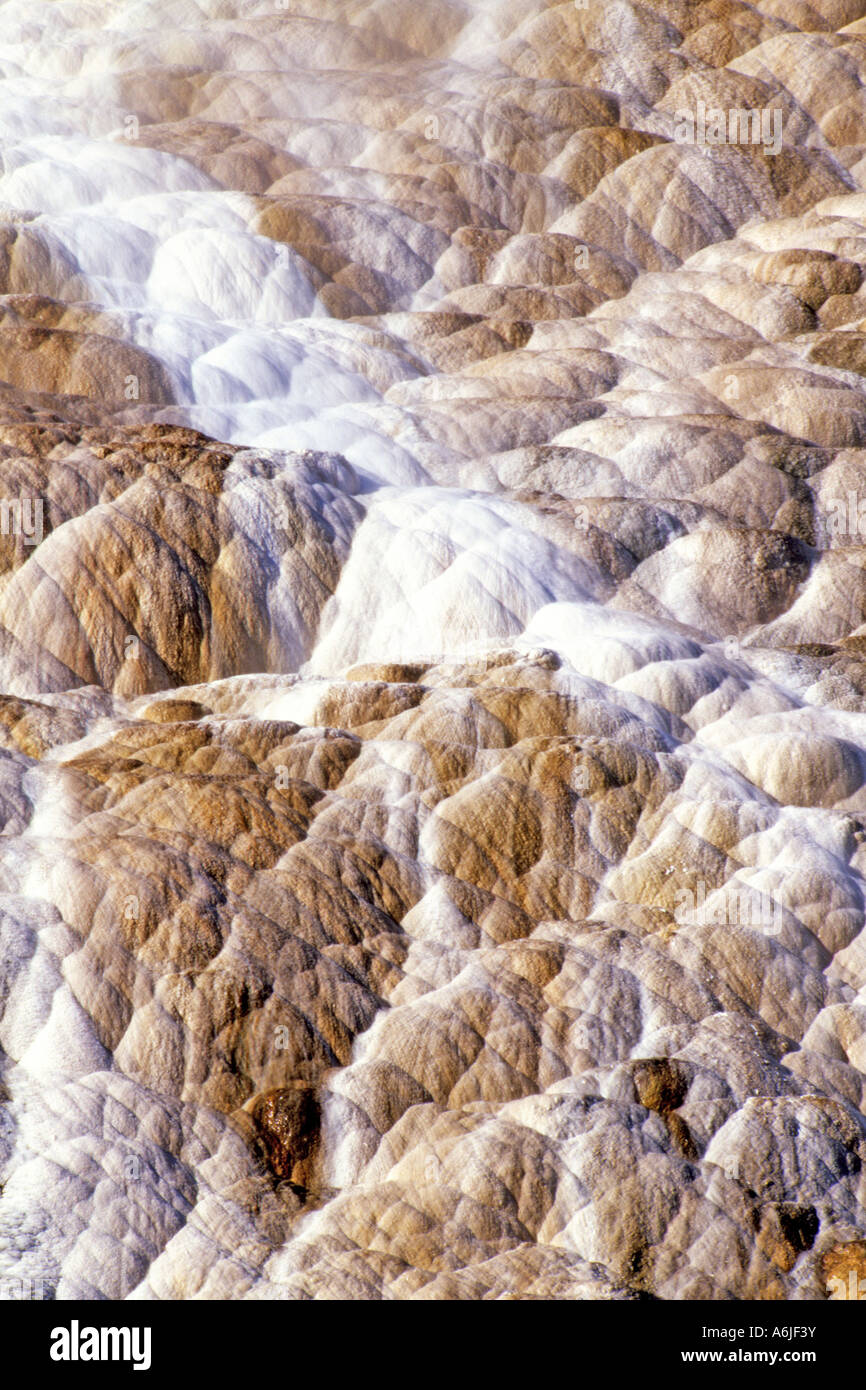 Mammoth Terraces at Mammoth Hot Springs at Yellowstone National Park ...