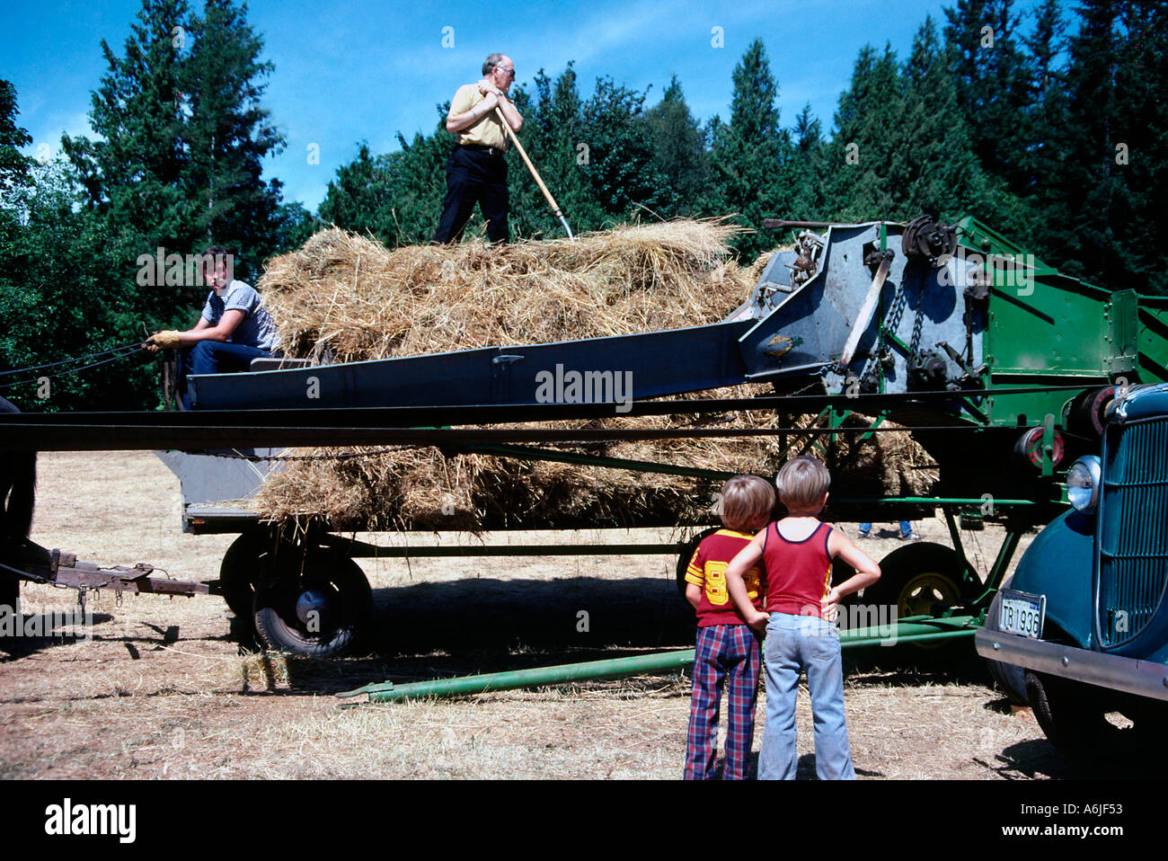 Small boys watching hay blowing into a wooden wagon at a tractor meet ...