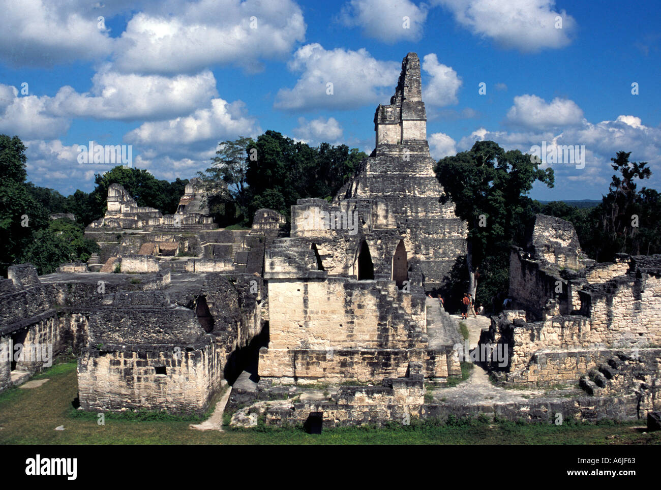 Mayan Ruins of Tikal Stock Photo - Alamy