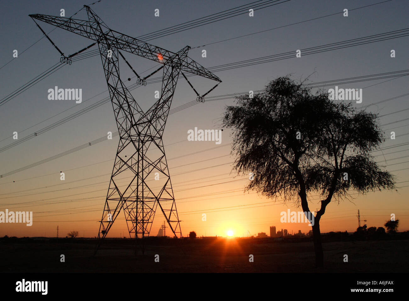 A tree and high voltage transmission lines at sunset Stock Photo - Alamy