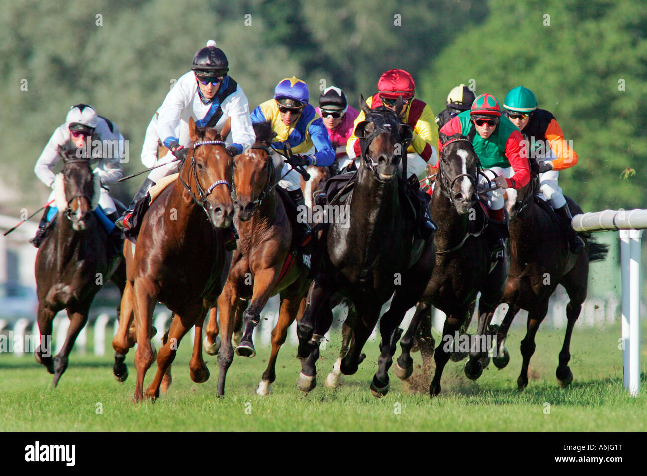 Gallop racing germany sport hi-res stock photography and images - Alamy