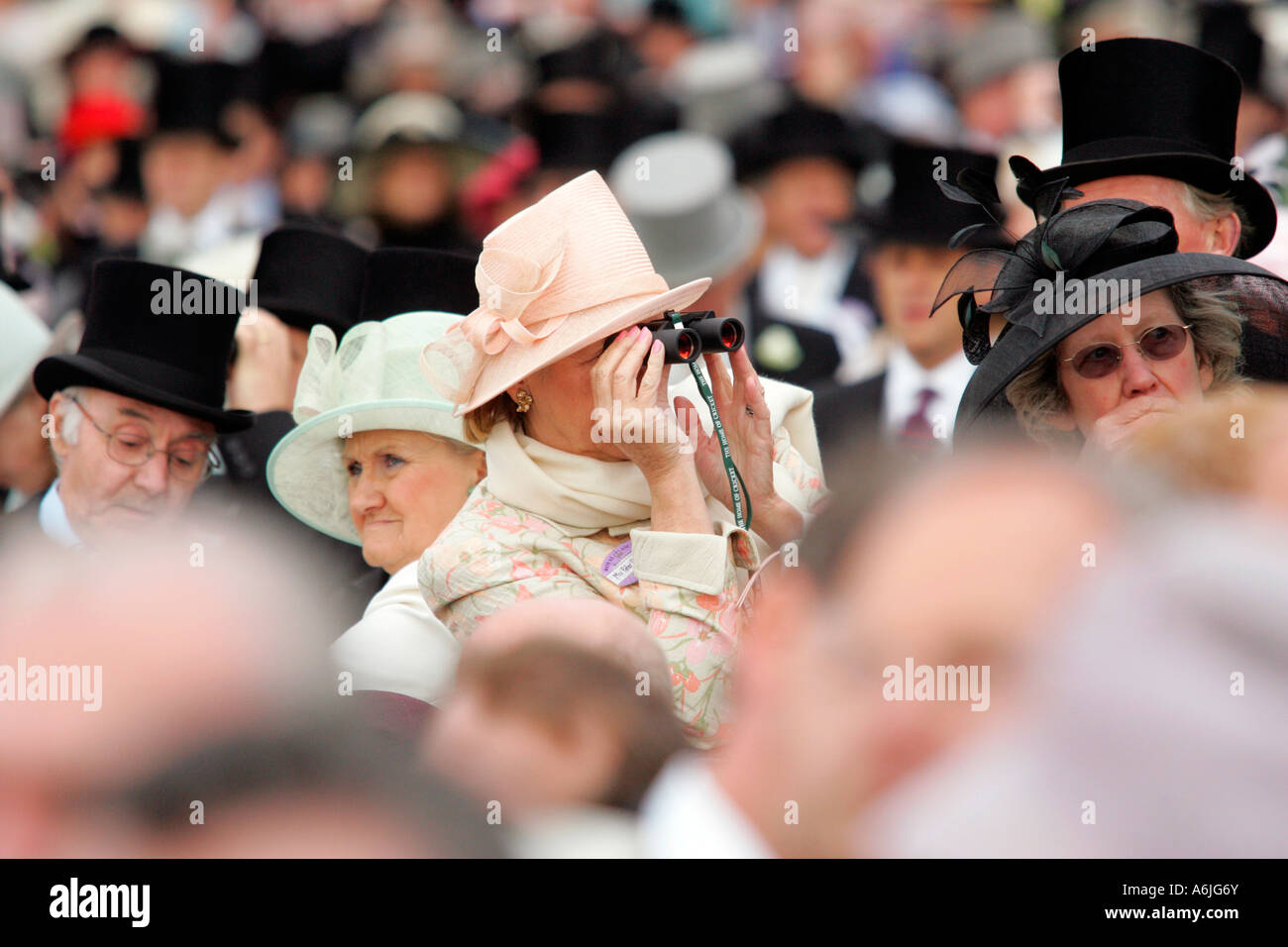 Crowd people watching ascot hi-res stock photography and images - Alamy