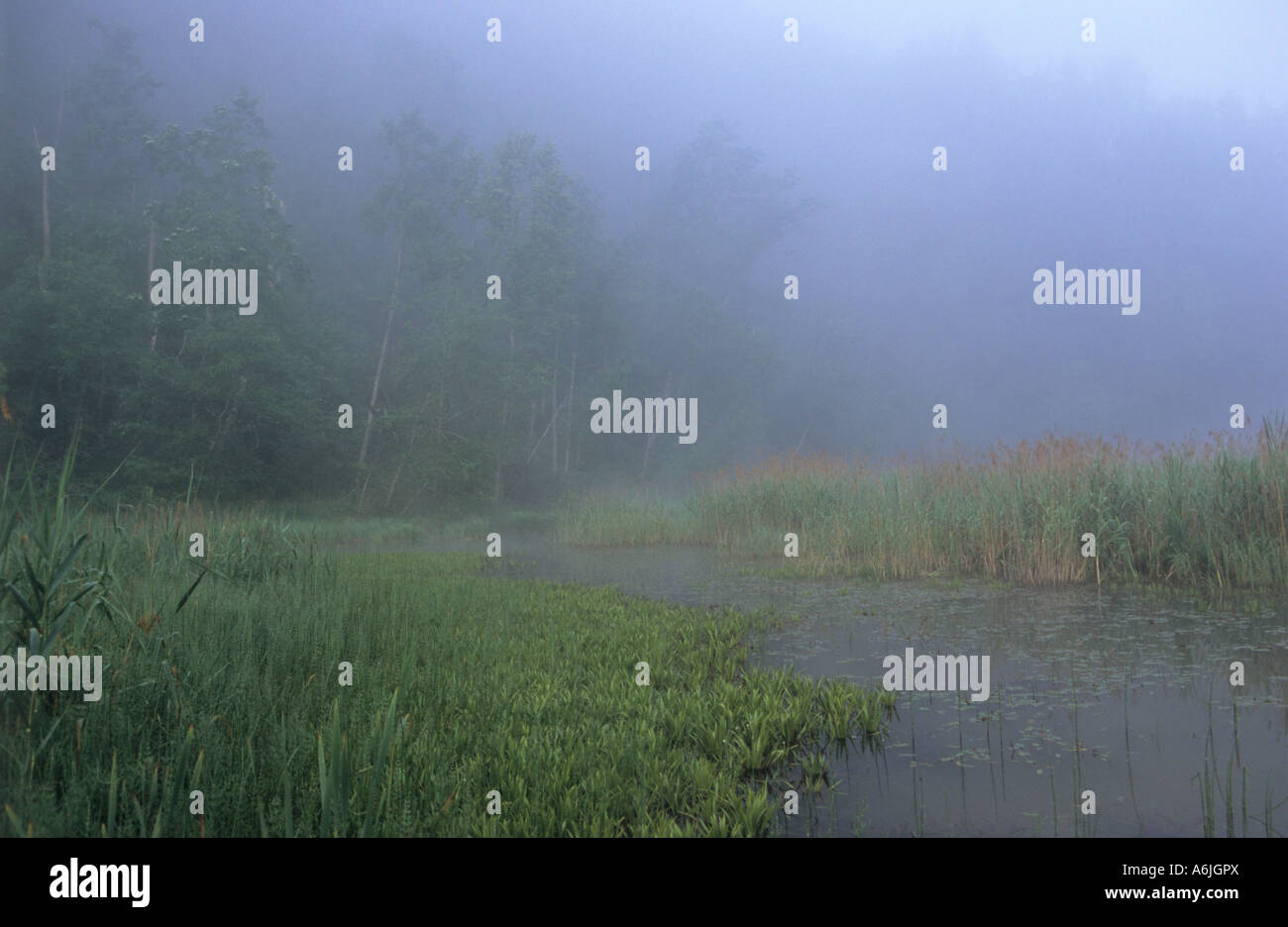Hazy river landscape Stock Photo - Alamy