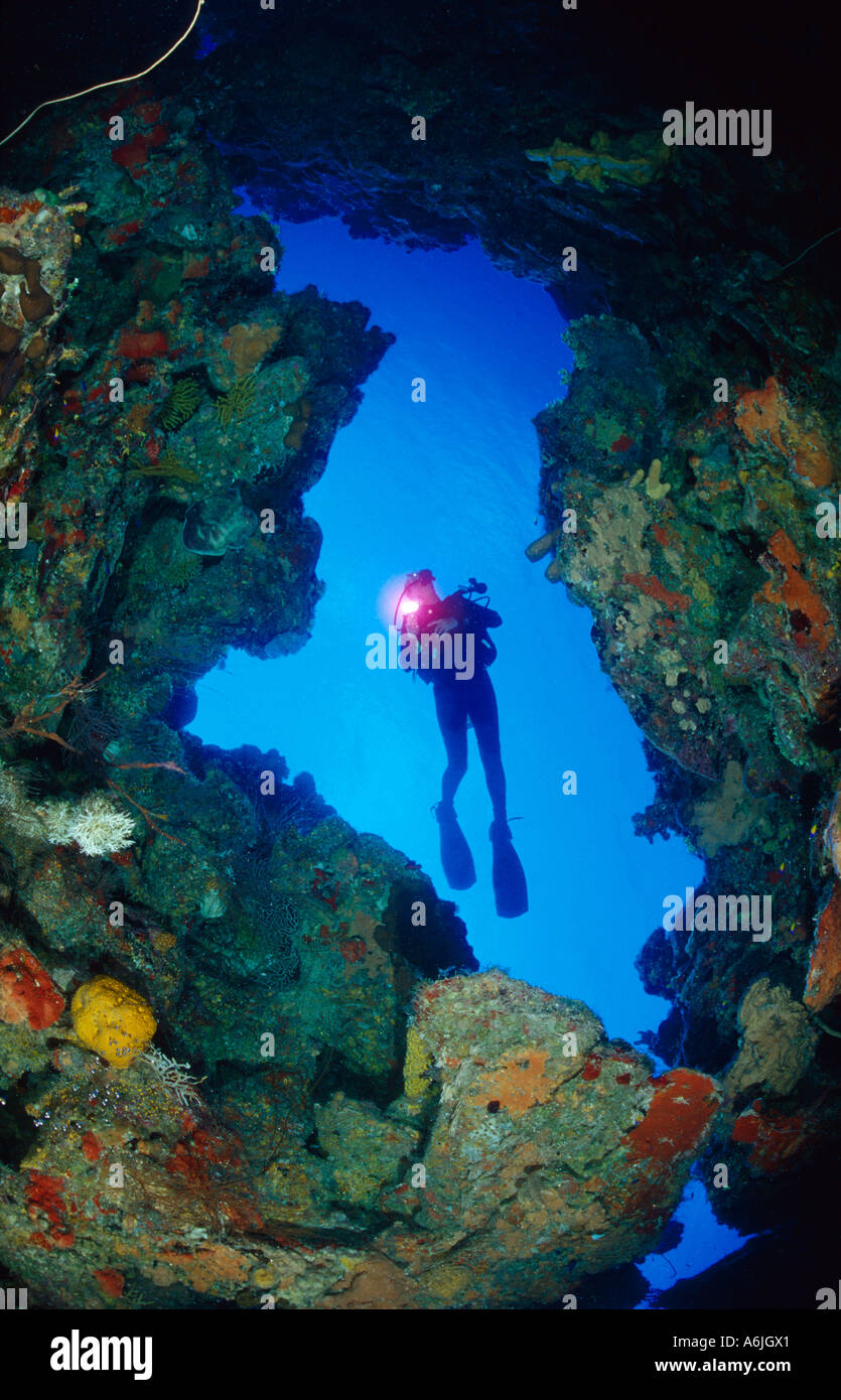 Scuba Diver On Colorful Coral High Resolution Stock Photography and ...