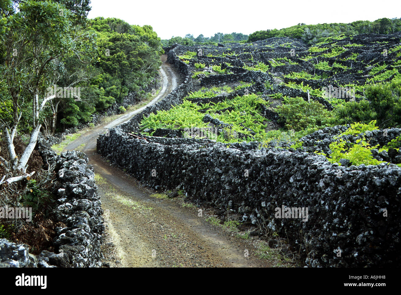 District southern wine road hi-res stock photography and images - Alamy
