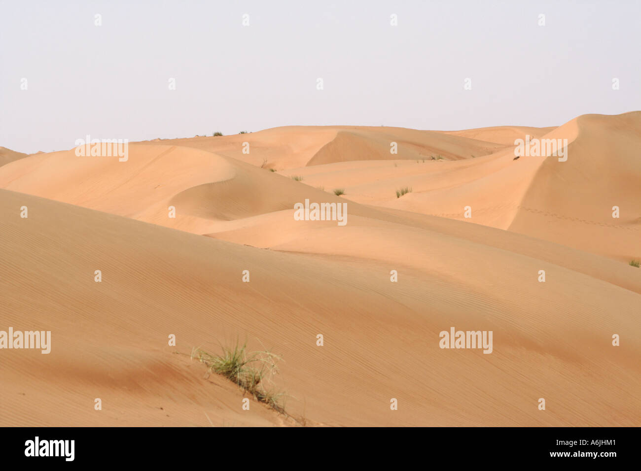 Wahiba Sands, Sharqiya, Oman, endless sand dunes Stock Photo - Alamy