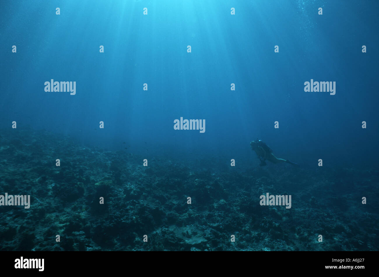 Diver with rays of sunlight Fiji Pacific Ocean Stock Photo - Alamy