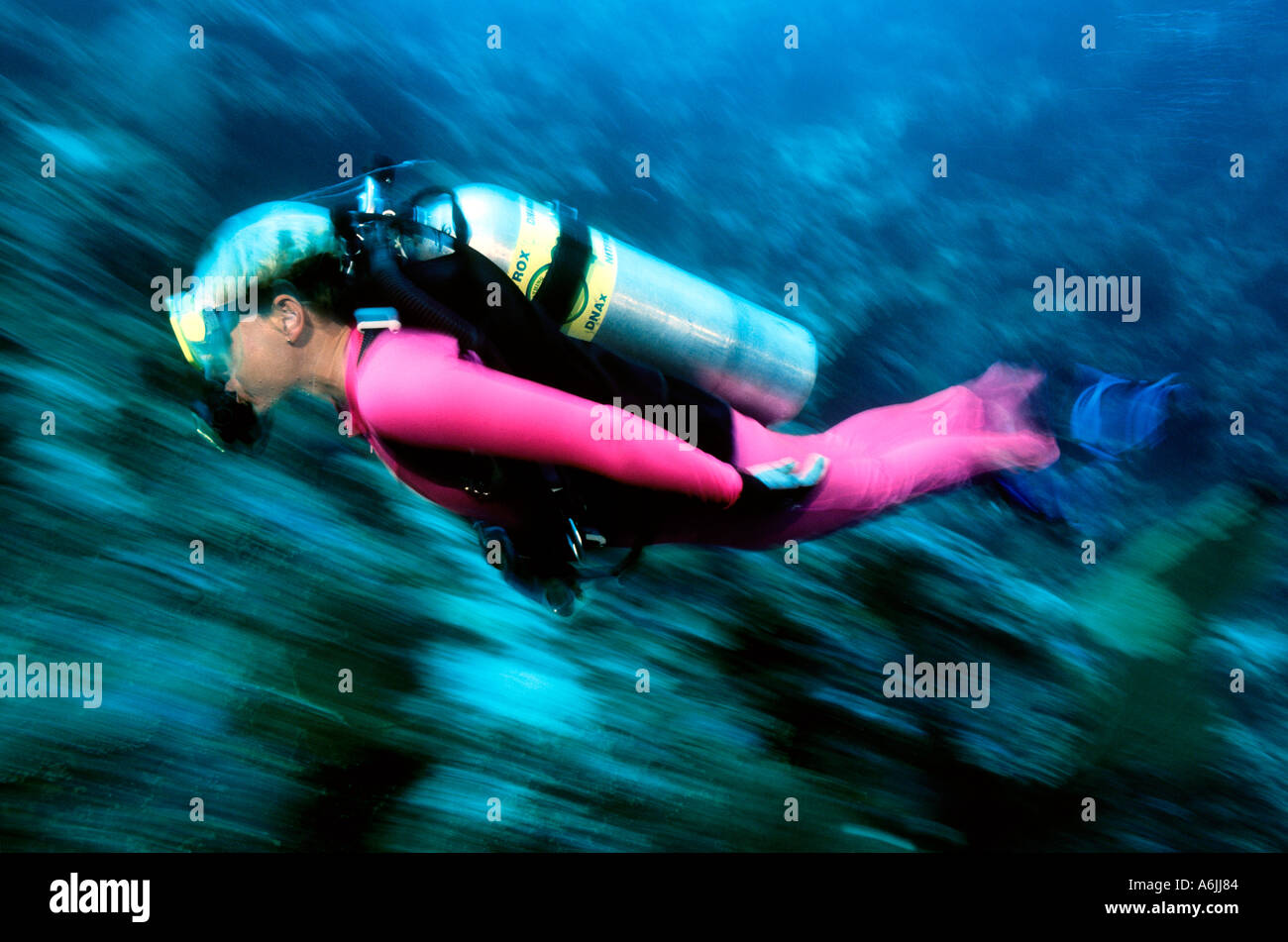Female diver in pink wetsuite slow motion Pacific Ocean Stock Photo - Alamy