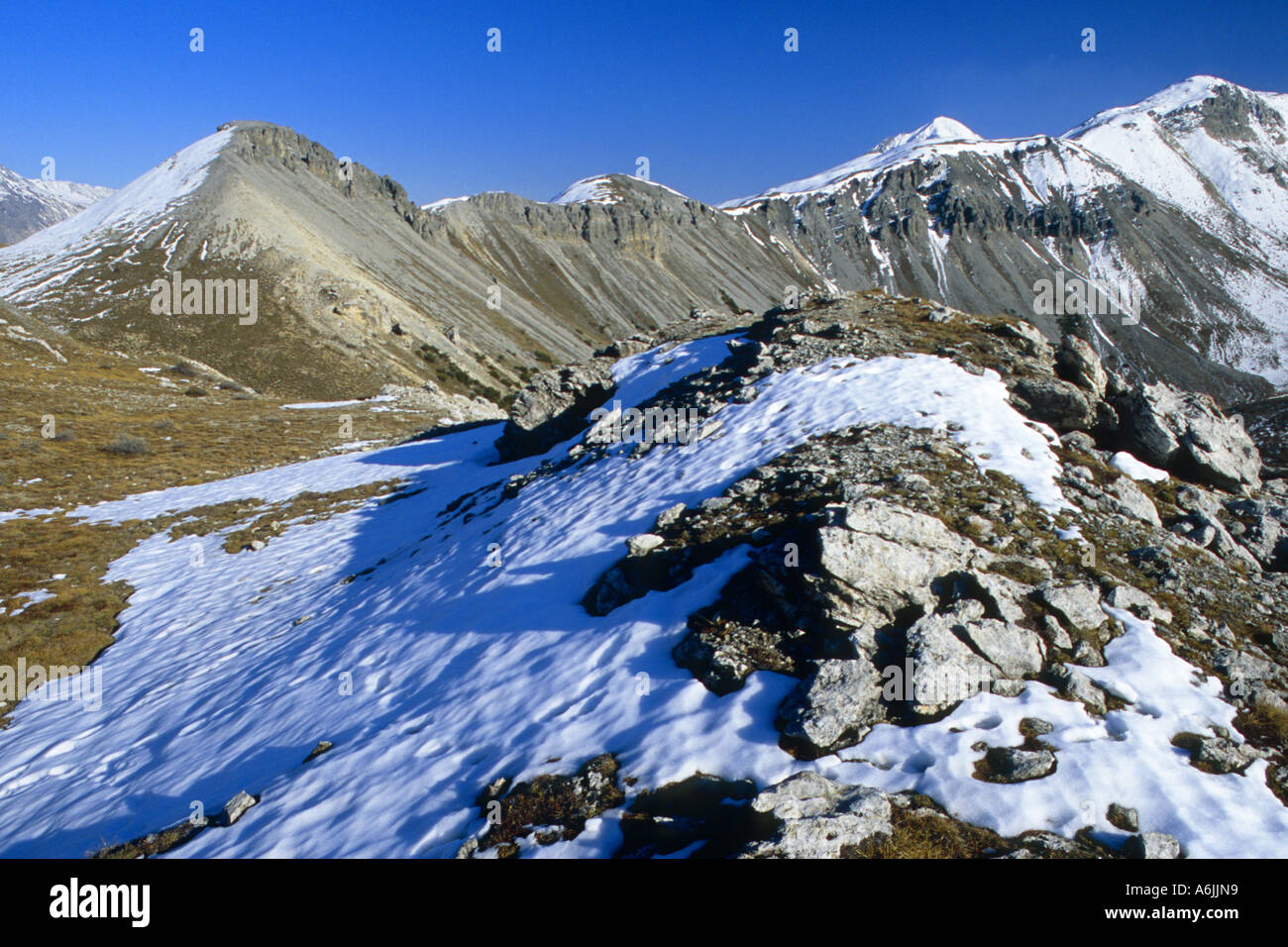 Schera hi-res stock photography and images - Alamy