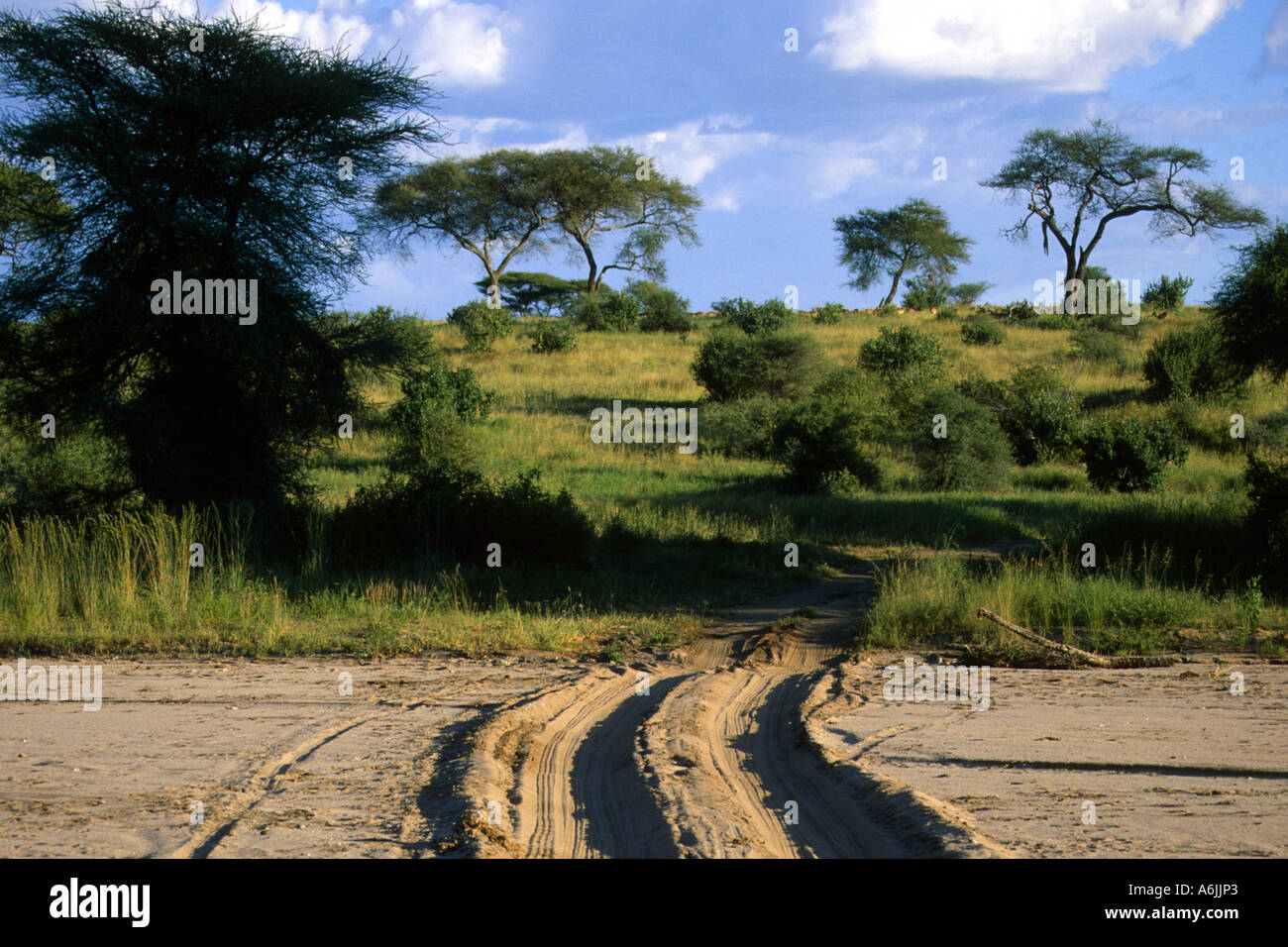 Tyre river trees hi-res stock photography and images - Alamy