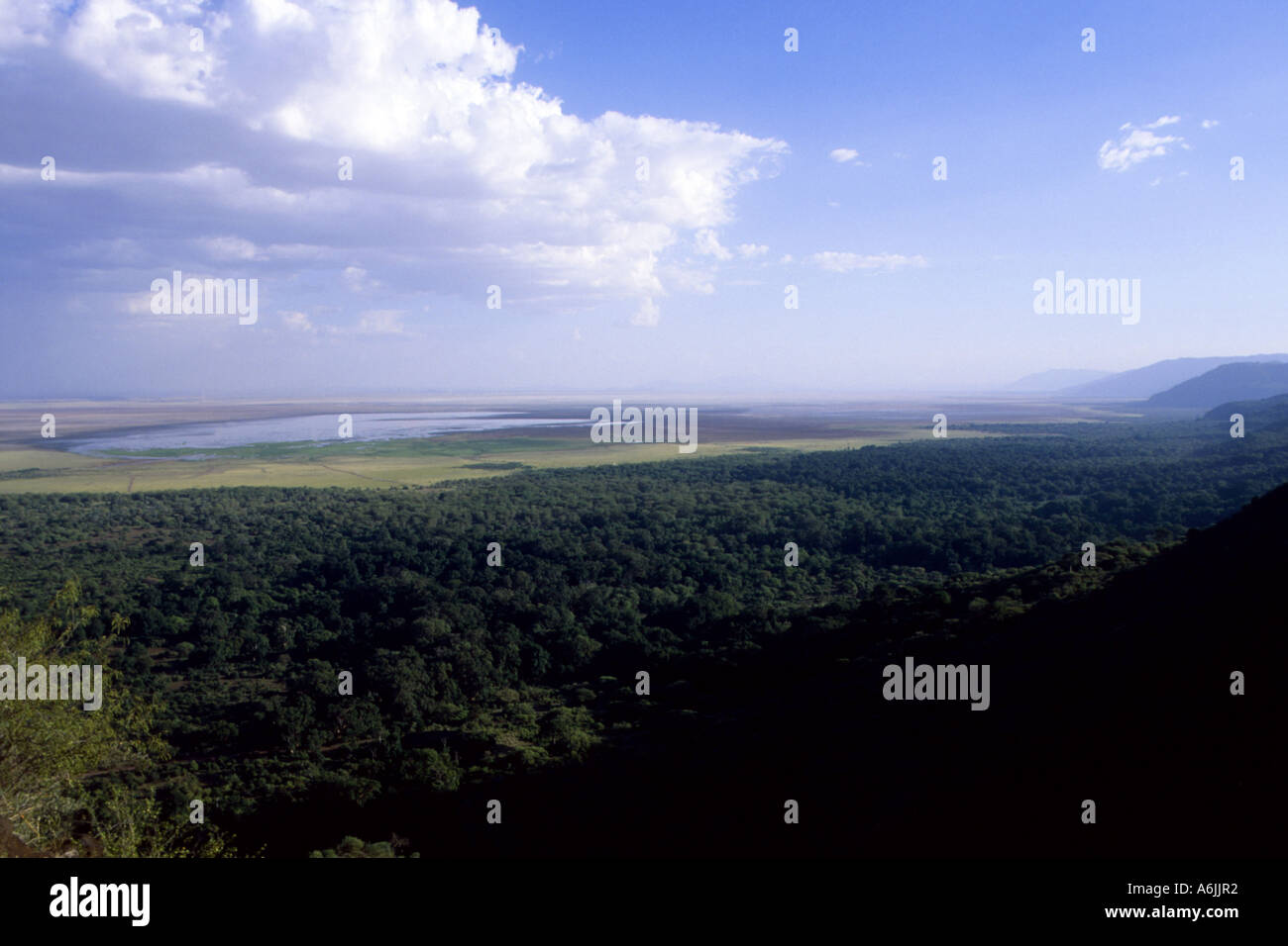 Lake Manyara, Tanzania Stock Photo - Alamy