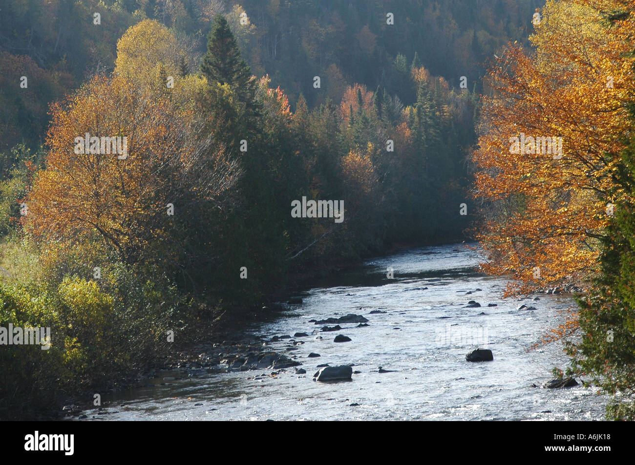 Fall in the Appalachians Gaspesie Quebec Stock Photo - Alamy