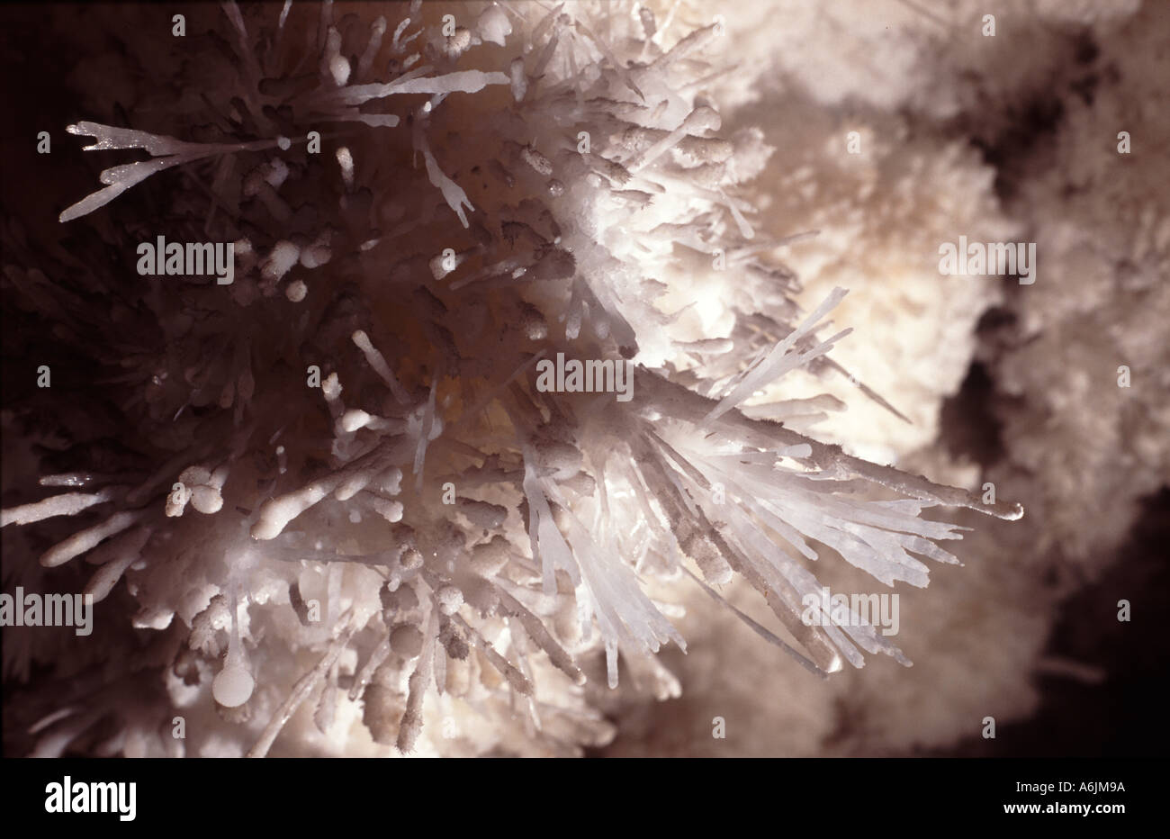Calcite formation in a cave in Sichuan province China Stock Photo - Alamy