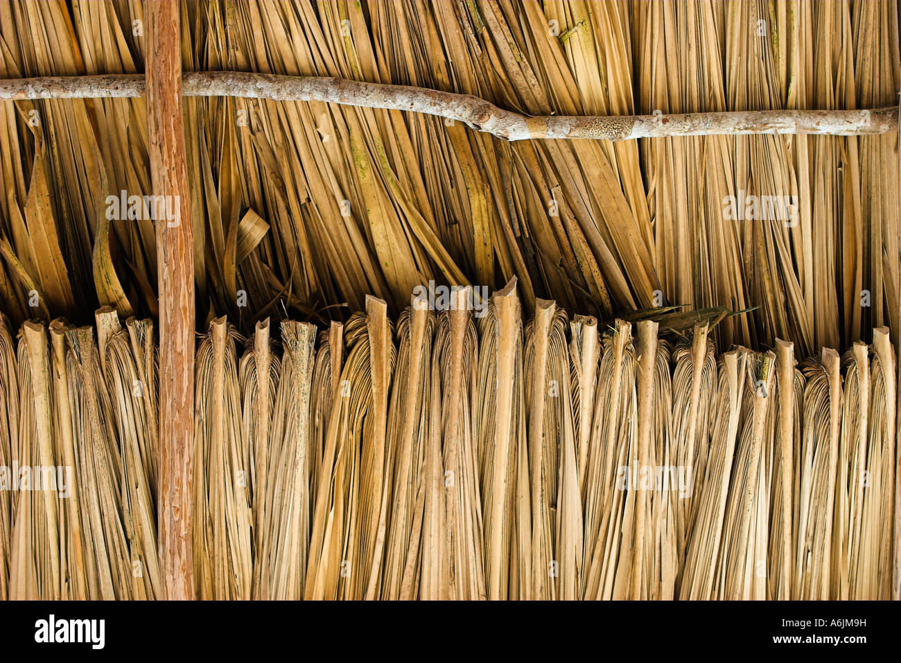 Palm Thatch Roof Stock Photo - Alamy