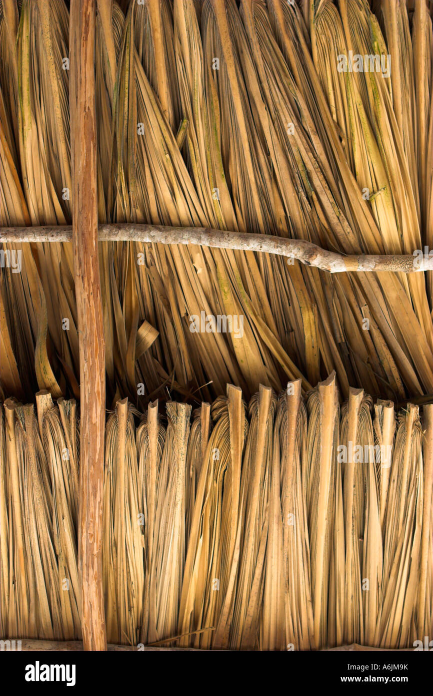 Palm thatch roofs hi-res stock photography and images - Alamy