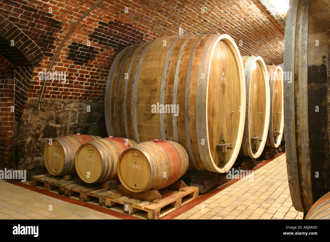 wine casks in a vine cellar, Germany Stock Photo - Alamy