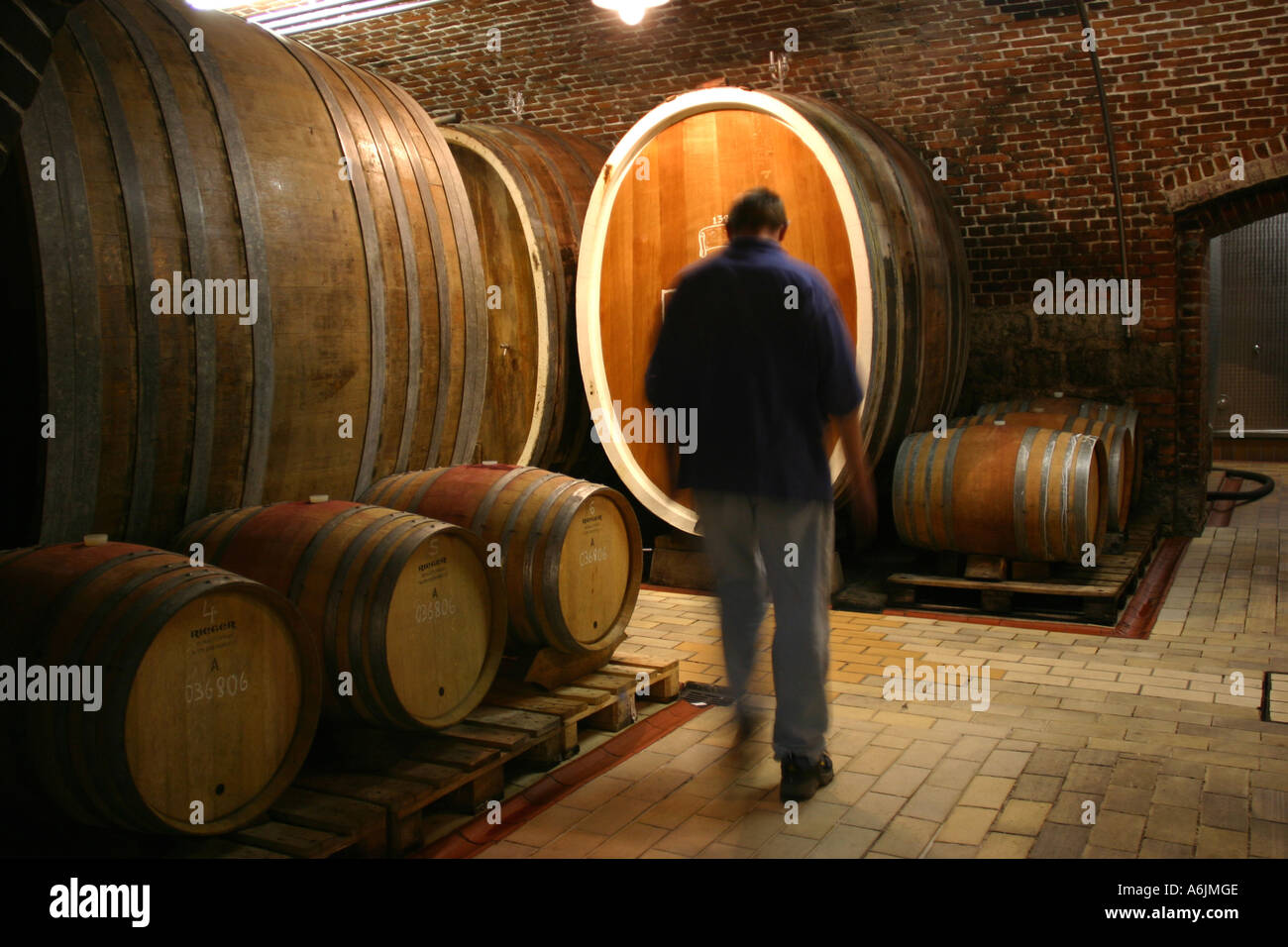 wine casks in a vine cellar, Germany Stock Photo - Alamy