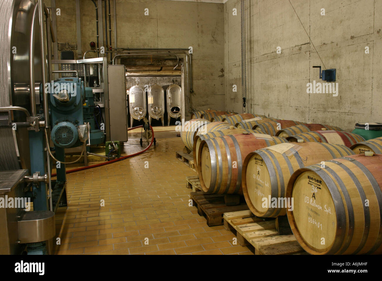 wine casks in wine cellar, Germany Stock Photo - Alamy