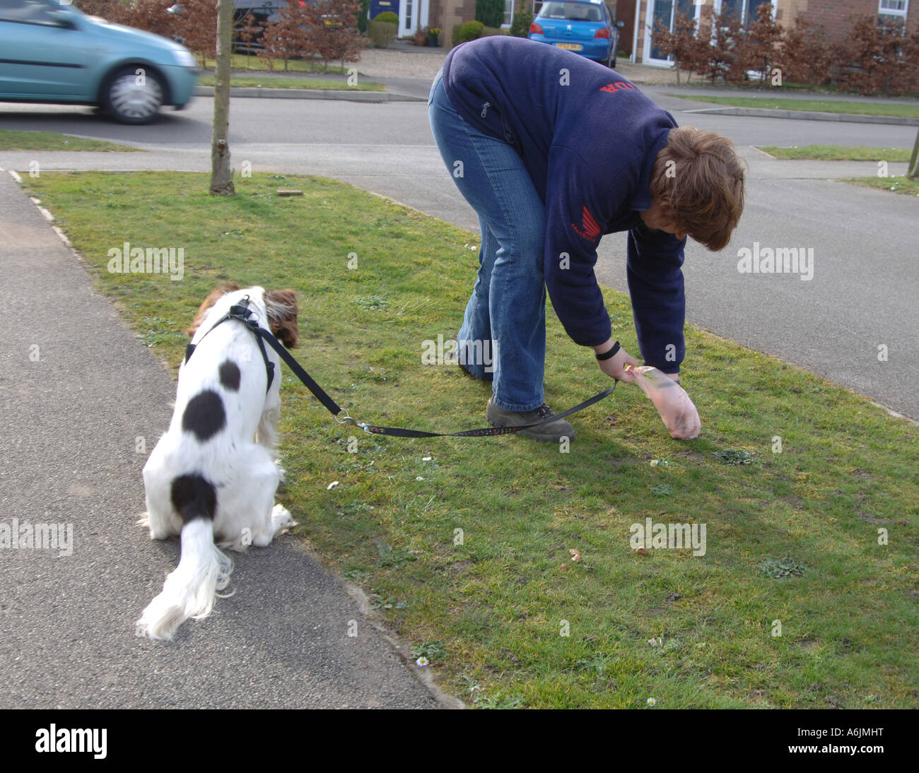 Pooper hi-res stock photography and images - Alamy