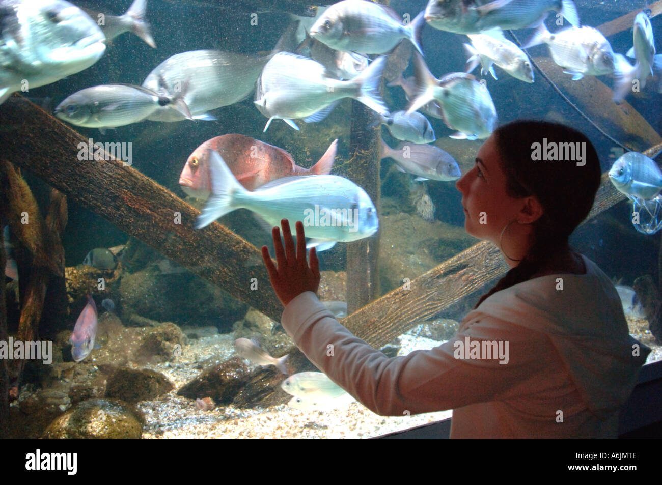 Tanks in france hi-res stock photography and images - Alamy