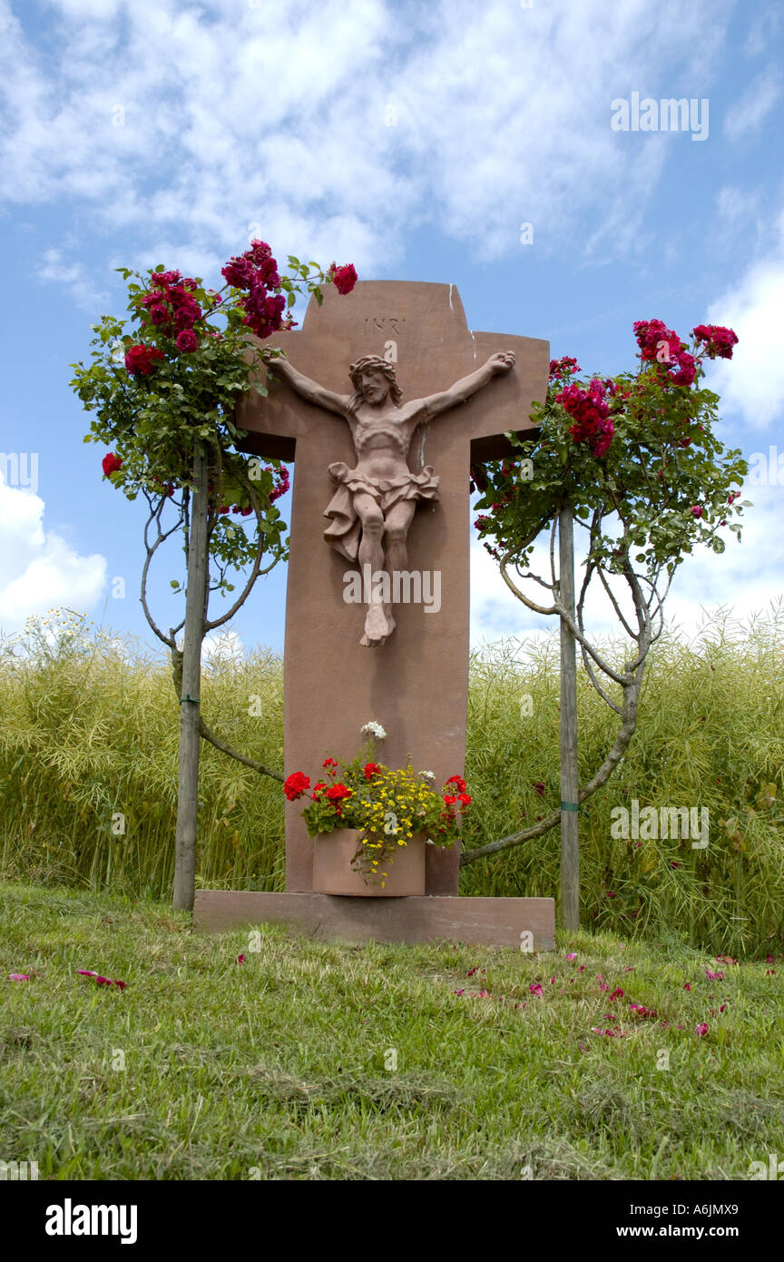 Roadside rose hi-res stock photography and images - Alamy