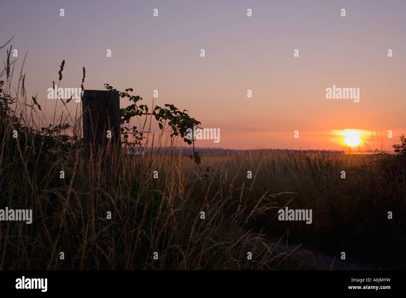Dawn through a field gate Stock Photo - Alamy