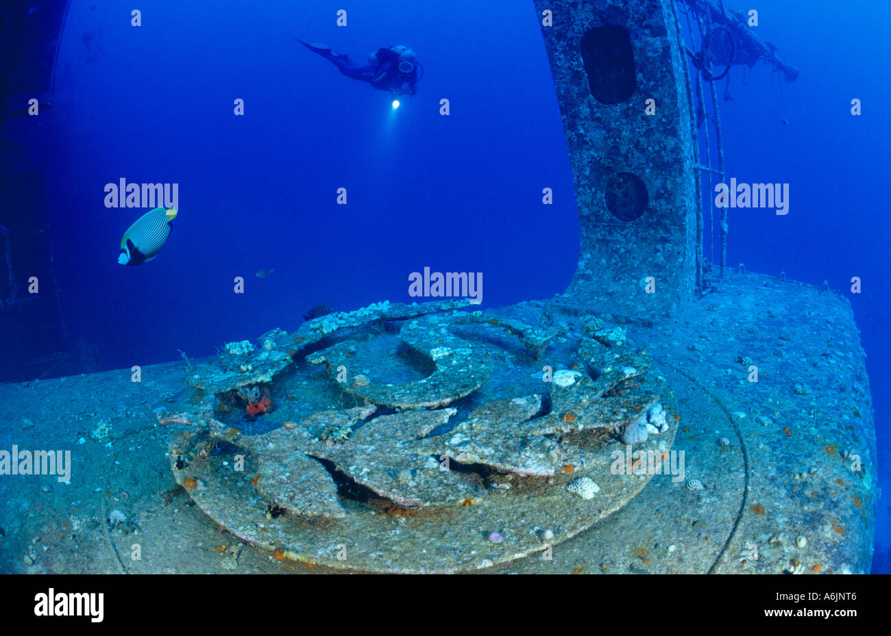 scuba diver with ship wreck "Salem Express Stock Photo - Alamy