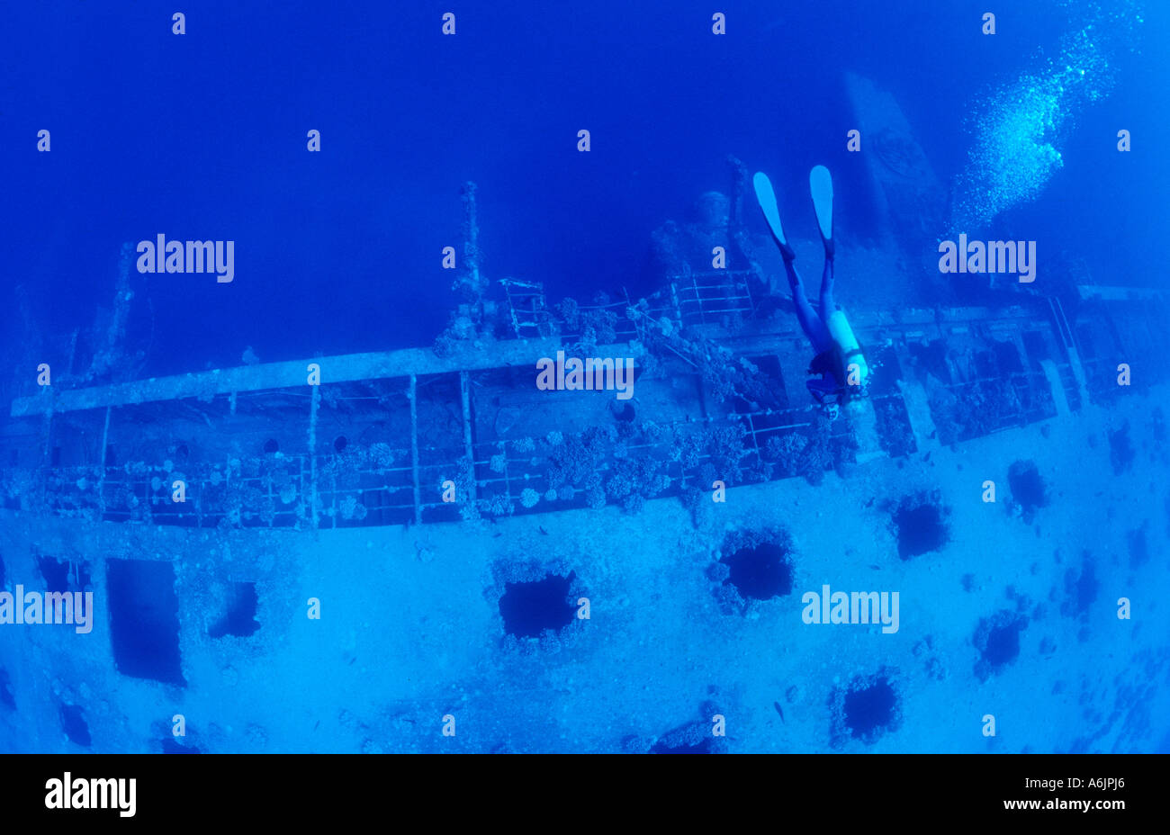 Queen Elizabeth Shipwreck Underwater