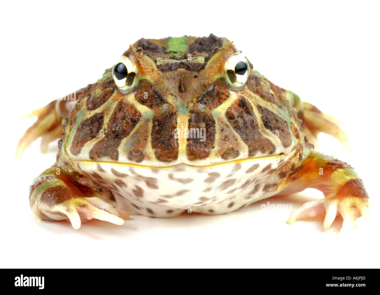 Nightcrawler comic hi-res stock photography and images - Alamy