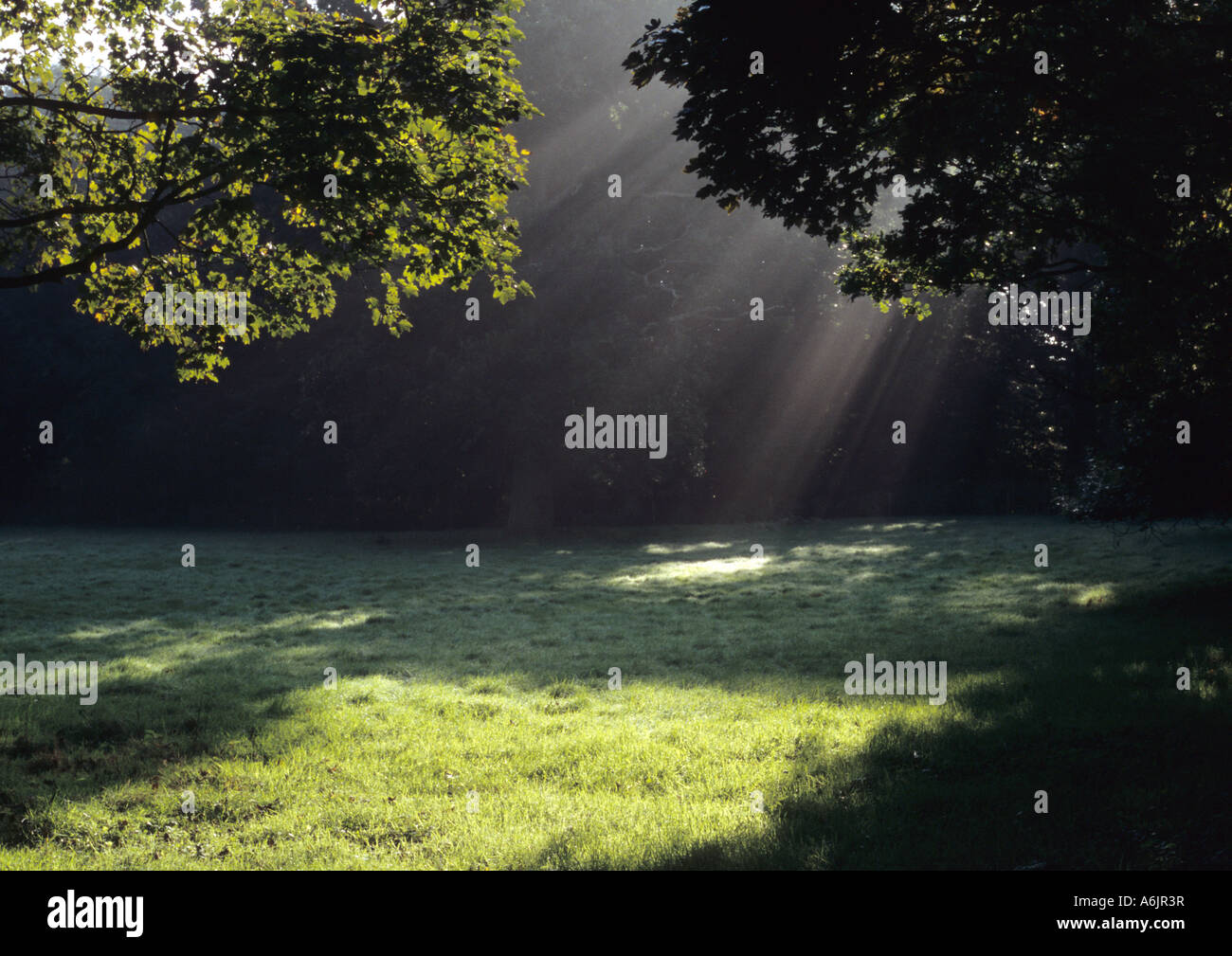 Shaft of light hi-res stock photography and images - Alamy