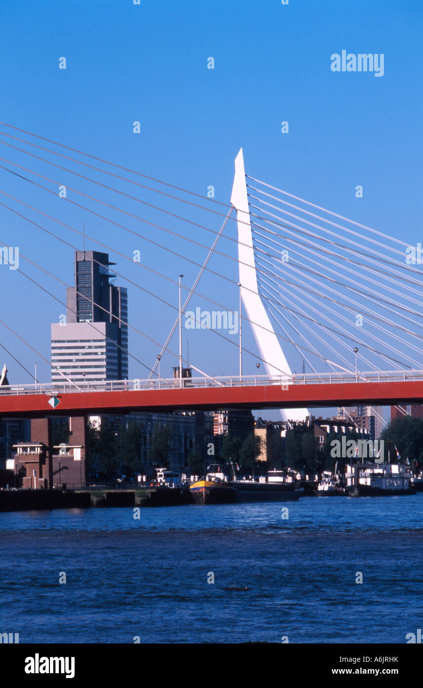 Erasmus Bridge and part of Willemsbrug Bridge Rotterdam Netherlands ...