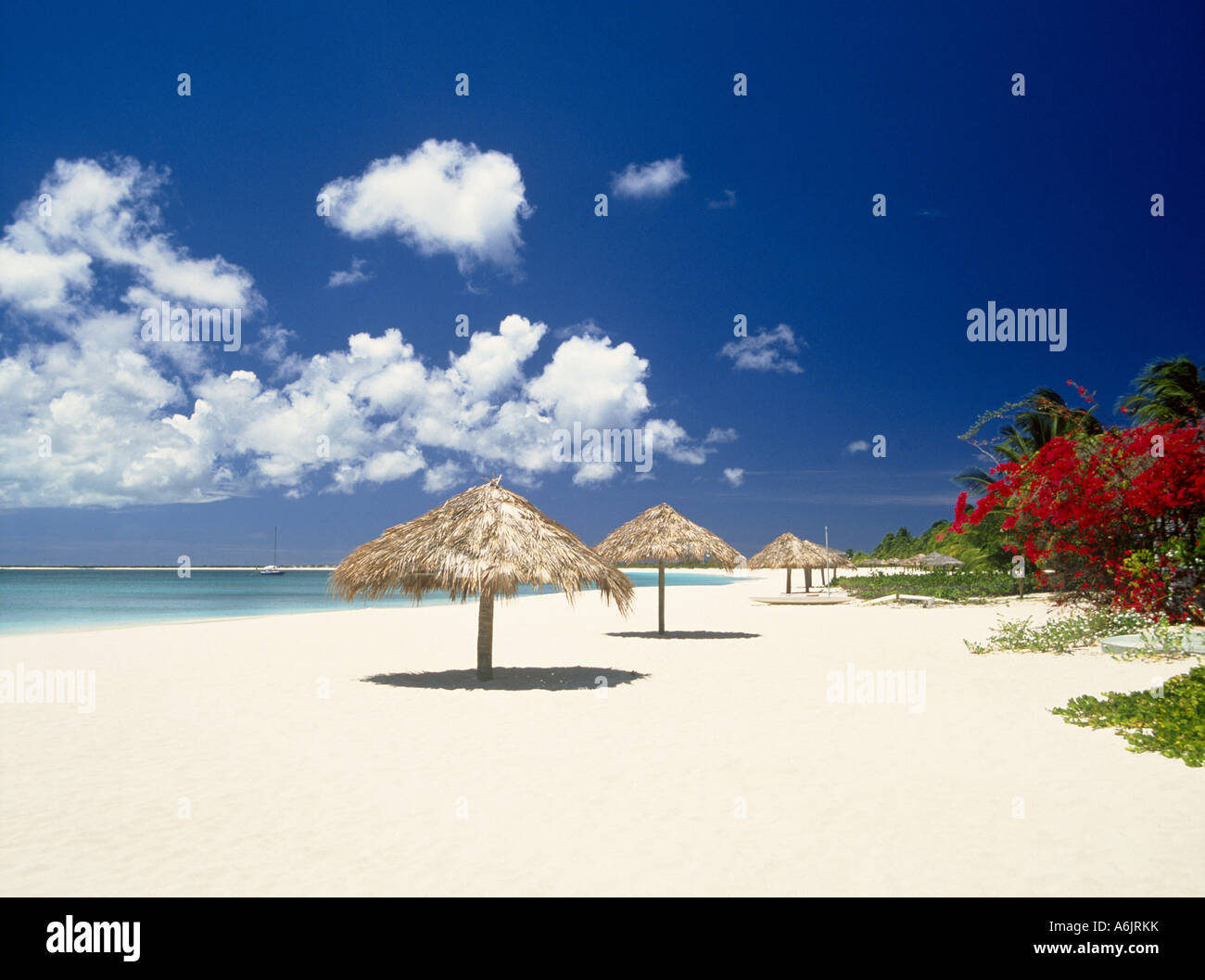 Tropical Beach, Barbuda, Antigua and Barbuda, Caribbean Stock Photo - Alamy